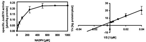 27 A Substrate Saturation Curve Of Jusb7h From Cell Cultures Of L