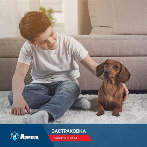 ЗАД Армеец Промоцията от 45 отстъпка за застраховка „Защитен дом“ е до края на месец