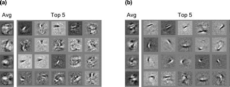 Analyzing Noise In Autoencoders And Deep Networks