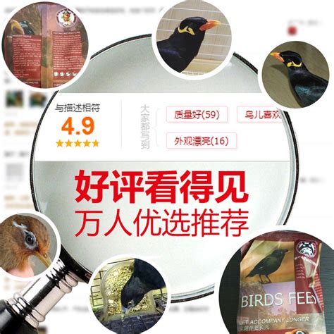 宠尚天八哥鸟食饲料鹩哥鸟粮专用食粮鸟料5画眉鸟食饲料包邮3 6斤 虎窝淘