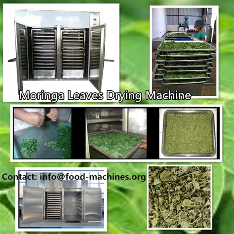 Moringa Leaves Drying Machine Agriculture Nigeria