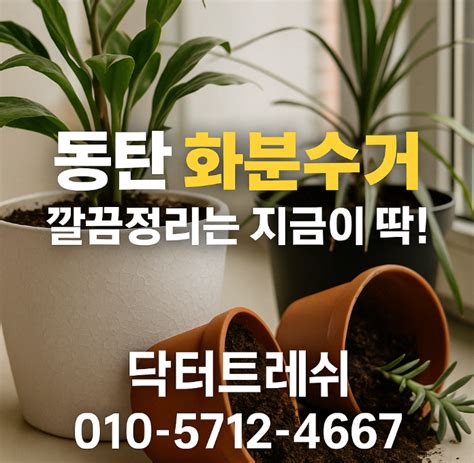 동탄 화분수거 버리는 방법부터 업체 이용 팁까지 네이버 블로그