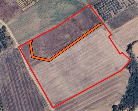 Extracting Common Boundary Between Adjacent Polygons Using Python Geographic Information