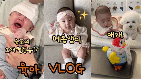 육아 브이로그 공포의 2개월 예방접종 후기🔥 I 요즘 하는 특기 메롱😝 I 귀여운 애개육아 일상 I 강아지 I 요리 I 병원 I 육아템 I 아기장난감 I 원더윅스
