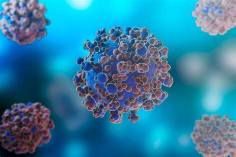 Understanding Sex Based Immune Responses The Role Of A Critical T Cell Pathway Medtigo