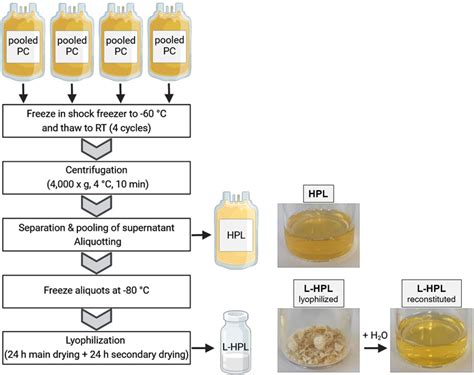 Frontiers Lyophilized Human Platelet Lysate Manufacturing Quality