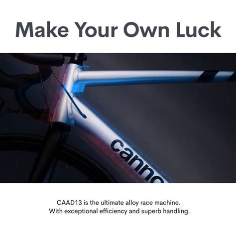 Cannondale Caad 13 Disc Tiagra The Bike Settlement