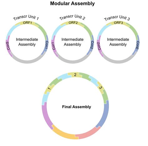 Dna Toolkits — Clutchbio