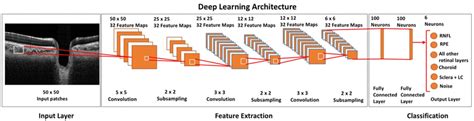 the deep learning architecture is an 8 layer convolution neural network download scientific