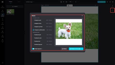 Bulk Image Resizer Explore Best Online And Offline Tools In 2025