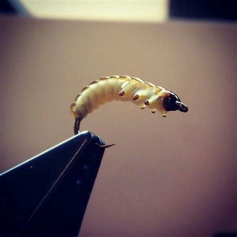104 Best Images About Worm Patterns On Pinterest Fly Shop Nymphs And