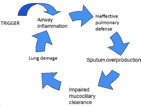 Proposed Pathophysiology Of Bronchiectasis By Cole 8 Download Scientific Diagram