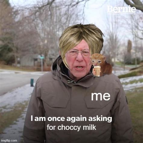 Bernie I Am Once Again Asking For Your Support Meme Imgflip