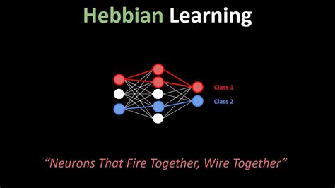 2 Hebbian Learning Rule Youtube