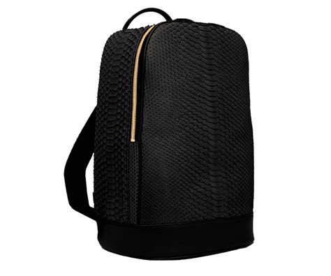 Python Backpack Oj Exclusive