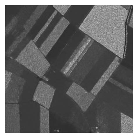 Despeckling Results Of Sar Image A Sar Image B Aa Model C Nlm Download Scientific