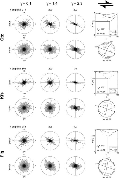 Particle And Surface Orientation Distribution Functions Odfs Of Download Scientific Diagram