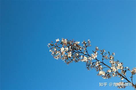 想成立一家公司，根据法律规定，注册资本可以随便写吗 知乎