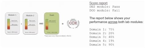 Everything You Need To Know About New CCIE Lab Exam SPOTO Official Blog