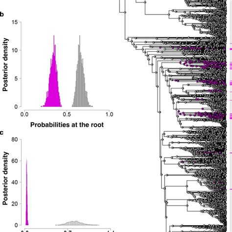 The Evolutionary History Of The Sexual System In Teleosts A Visual Download Scientific Diagram