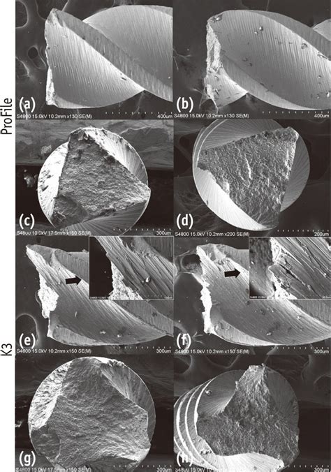 Scanning Electron Micrographs Of The Fracture Surface Of Specimens Download Scientific Diagram
