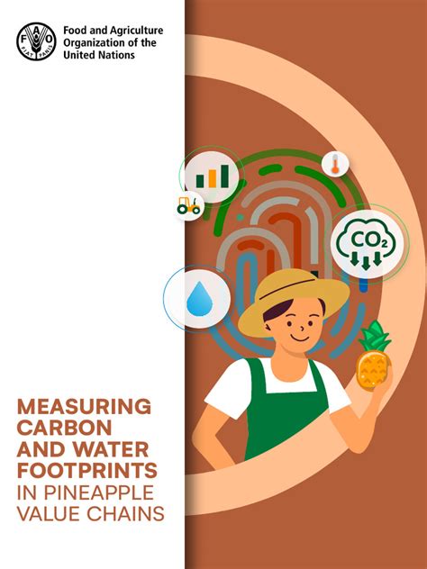Measuring Carbon And Water Footprints In Pineapple Value Chains Pdf