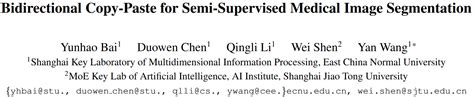 Cvpr2023 Bidirectional Copy Paste For Semi Supervised Medical Image Segmentation 技术分享