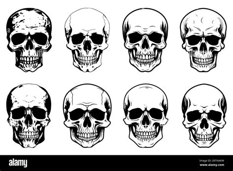 Human Skulls Set Skull Silhouettes Skull Icons Set Collection Of