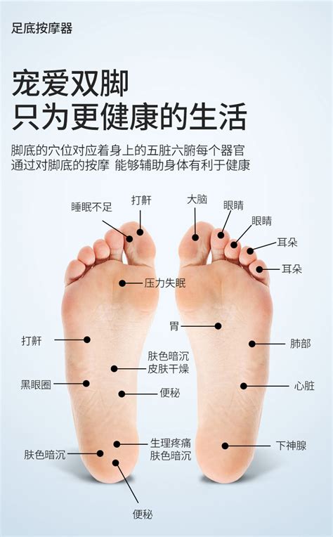 爆款现货足底按摩器便携家用多功能滚轮式刺PP材质激脚底穴位神器 阿里巴巴