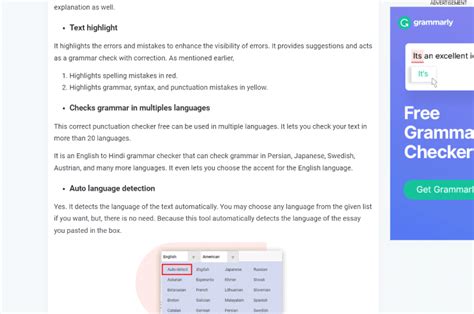 grammar checker 闪电博