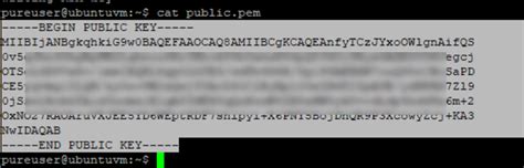 Generating A Pure1 Rest Jwt With Python Cody Hosterman