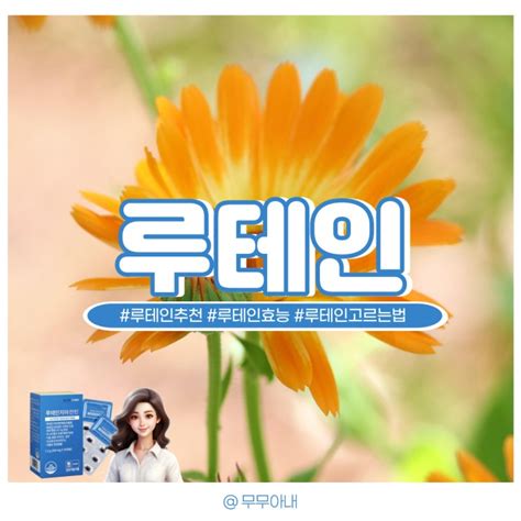 루테인 비교 및 효능 눈영양제 추천 고르는 방법 네이버 블로그