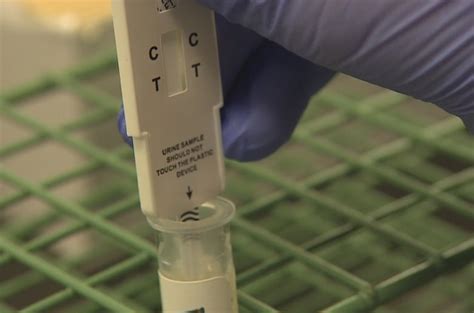 Fast Fentanyl Tests Help Raise An Alarm Of Spike In Overdoses CBC News
