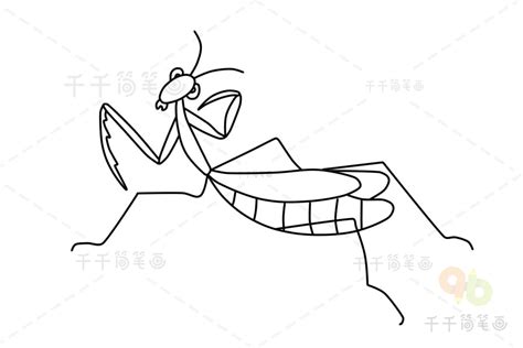 螳螂简笔涂色画 适合6 12岁小朋友 涂色画简笔画