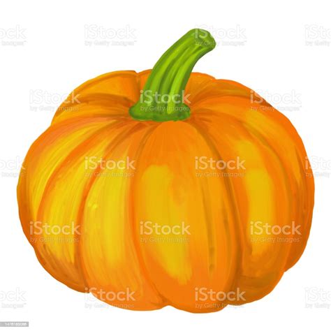 흰색 배경에 격리된 호박을 위한 수채화와 그림 과일 그림의 디지털 그림입니다 건강한 식생활에 대한 스톡 벡터 아트 및 기타