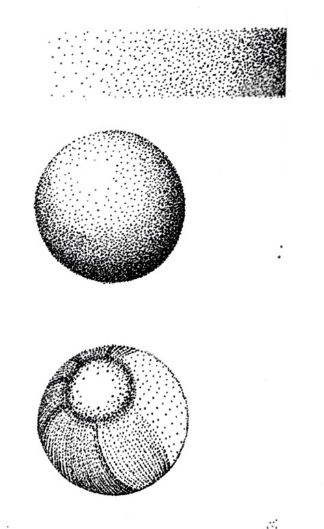 Learn Stippling Art With Alice Rosen How To Stipple Stippling