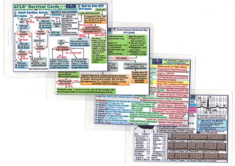 Printable Acls Cards Advanced Cardiovascular Life Support Acls