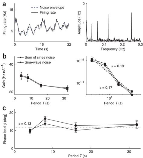 Neuronal Response To Sine Wave Noise Envelopes Is Similar When Periods Download Scientific
