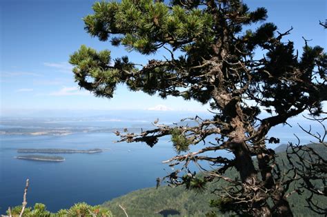 Ocras Island Philly Happening