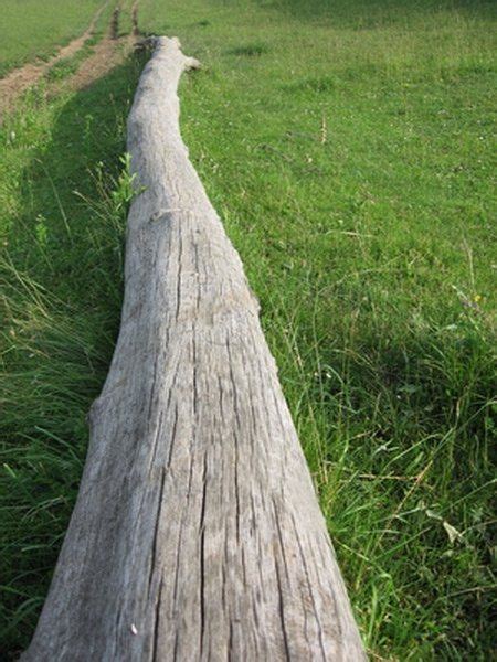 Tree Columns Are Popular Among Owners Of Rustic Dwellings Such As