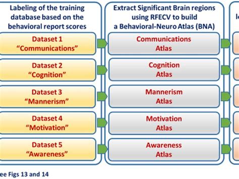 A Personalized Classification Of Behavioral Severity Of Autism Spectrum Disorder Using A