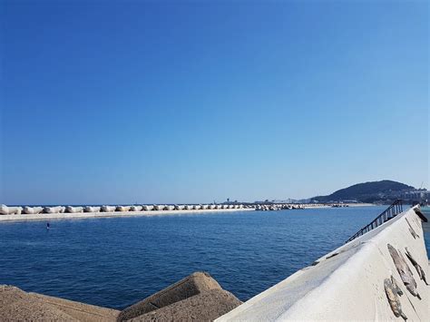 제주에서 할 수 있는 일 제주특별자치도 제주시 한림읍 비즈프로필