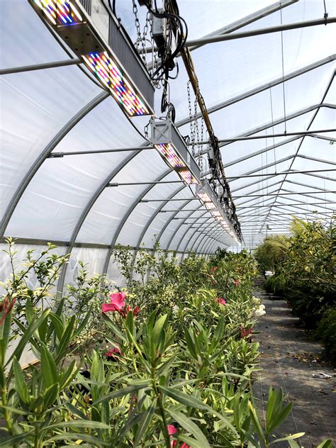 Sollum Solar Impulse Efficient Solution