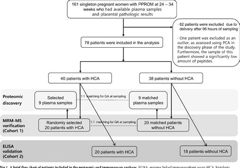 Figure 1 From Plasma Proteomic Analysis To Identify Potential