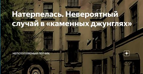 Натерпелaсь Невероятный случай в «каменных джунглях Непотопляемый Перчик Дзен