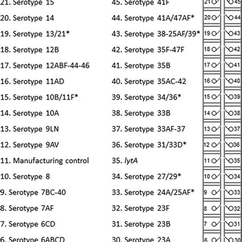Streptococcus Pneumoniae Serotyping Taqman Array Card Layout The Download Scientific Diagram
