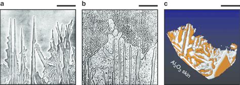 Comparison Of Irregular Eutectic Growth Morphologies A Growth Download Scientific Diagram