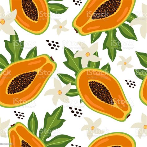 흰색 배경에 화려한 이국적인 반 파파야 과일 잎과 꽃 열대 원활한 패턴 과일에 대한 스톡 벡터 아트 및 기타 이미지 과일 그래픽 프린트 그리기 Istock