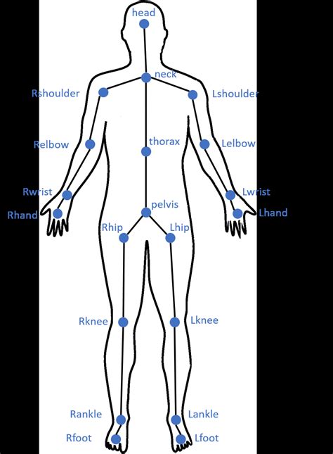 Body Joint Representation And Naming Convention Download Scientific Diagram