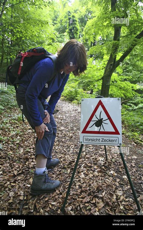 A Hiker Fears A Tick Bite Warning Sign Caution Ticks Insects Hesse